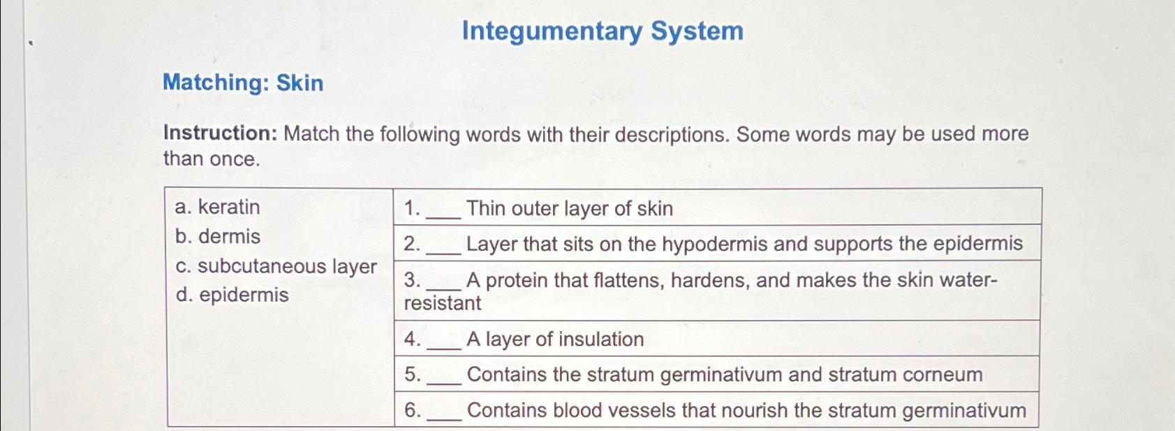Solved Integumentary SystemMatching: SkinInstruction: Match | Chegg.com