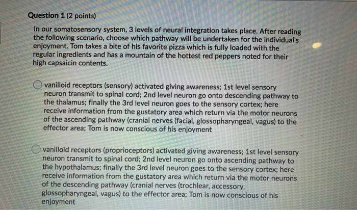 Solved Question 1 (2 Points) In our somatosensory system, 3 | Chegg.com