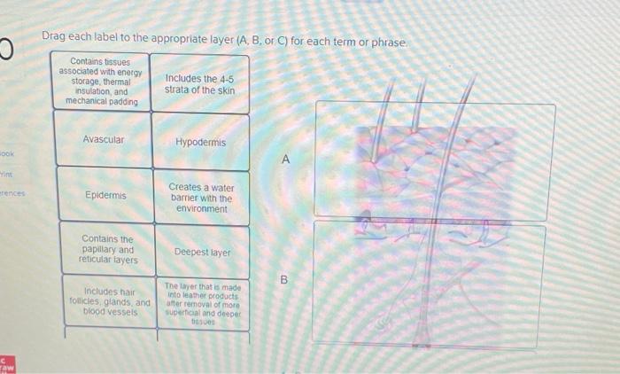 look erences raw Drag each label to the appropriate | Chegg.com