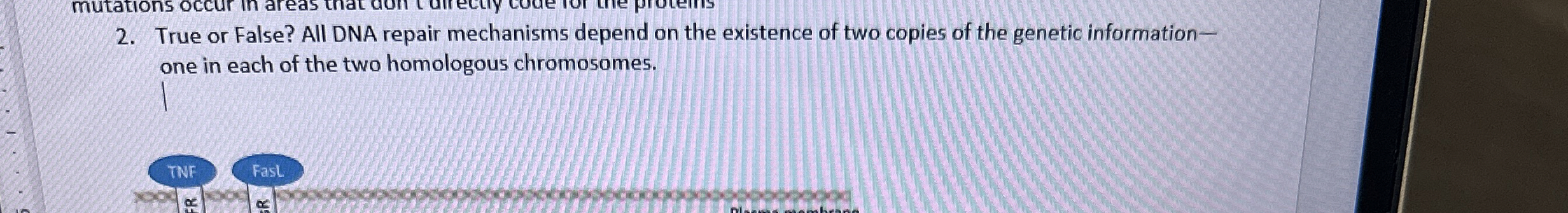 Solved True or False? All DNA repair mechanisms depend on | Chegg.com