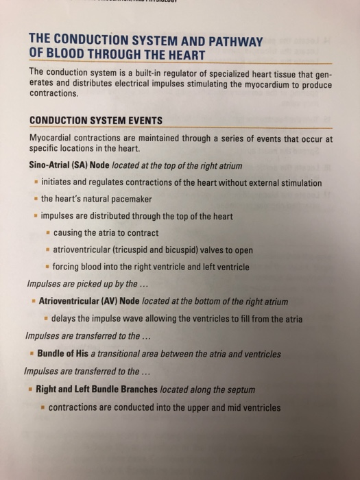 Solved follow the cardiac cycle and the conduction system of | Chegg.com