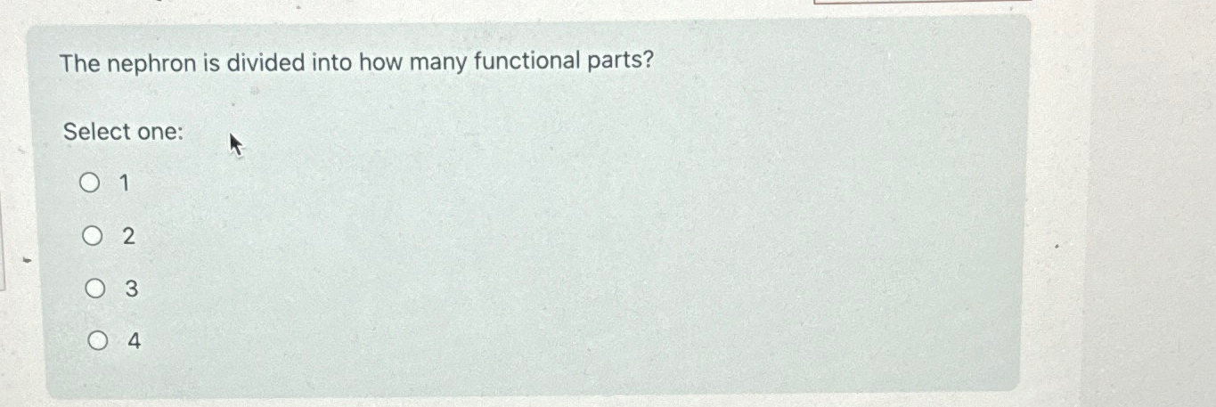 Solved The nephron is divided into how many functional | Chegg.com