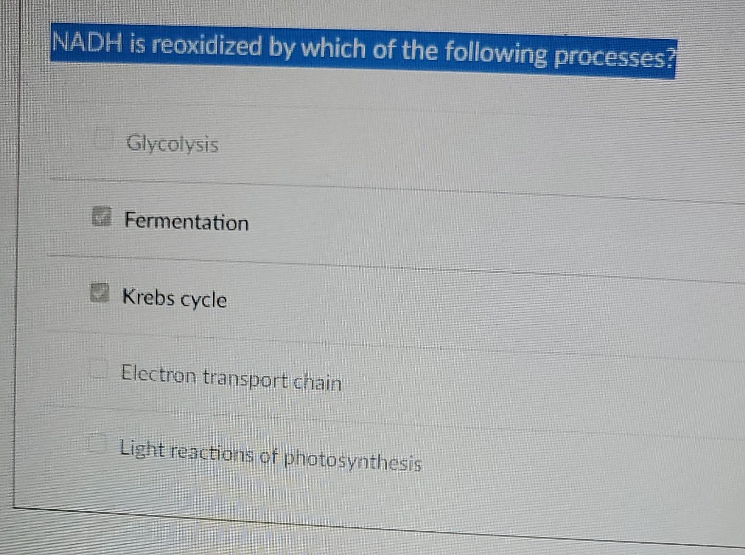 Solved Match the items on the left with their function in | Chegg.com