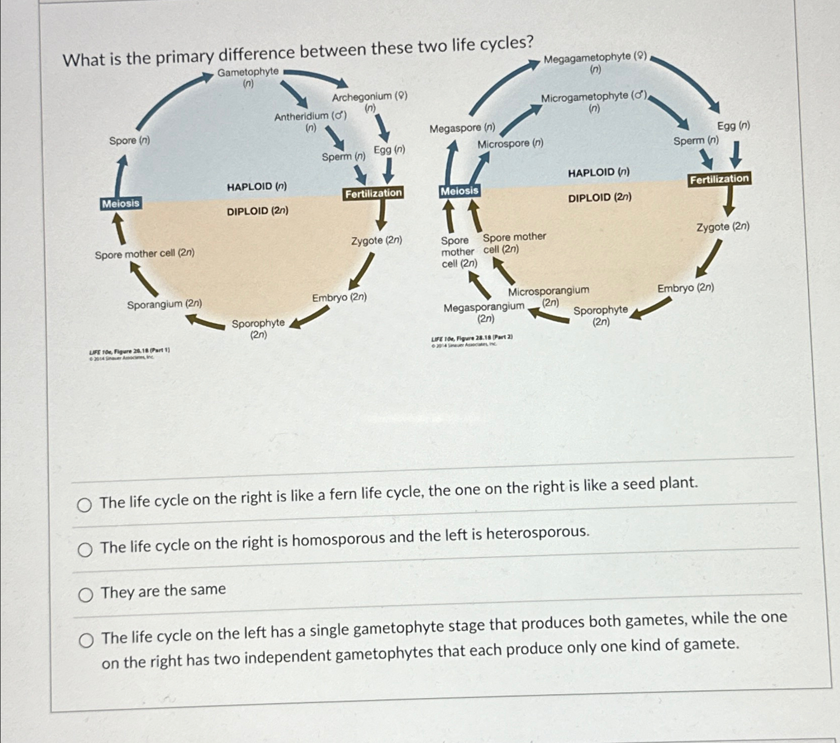 Solved What is the primary difference between these two life | Chegg.com