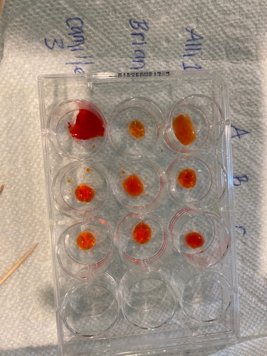 QUESTION 1 1. What is the blood type of Sample A, | Chegg.com