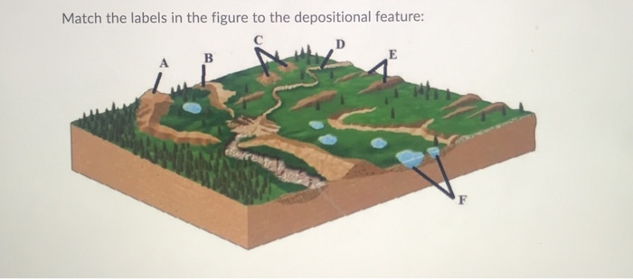 Solved Match the labels in the figure to the depositional | Chegg.com