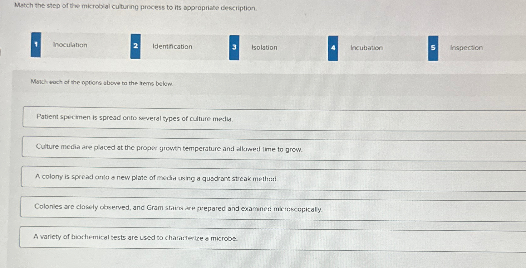 Solved Match the step of the microbial culturing process to | Chegg.com