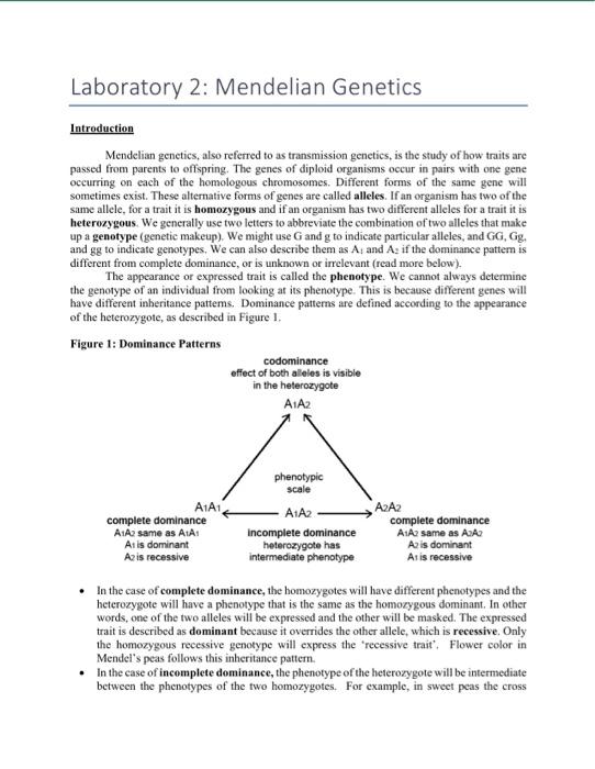 Solved Introduction Mendelian genetics, also referred to as | Chegg.com