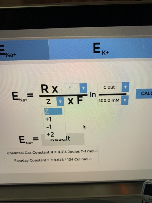 Solved EK EC- Eva Cout Rx 1 z XF In CALCULATE Na 400.0 mm 1) | Chegg.com