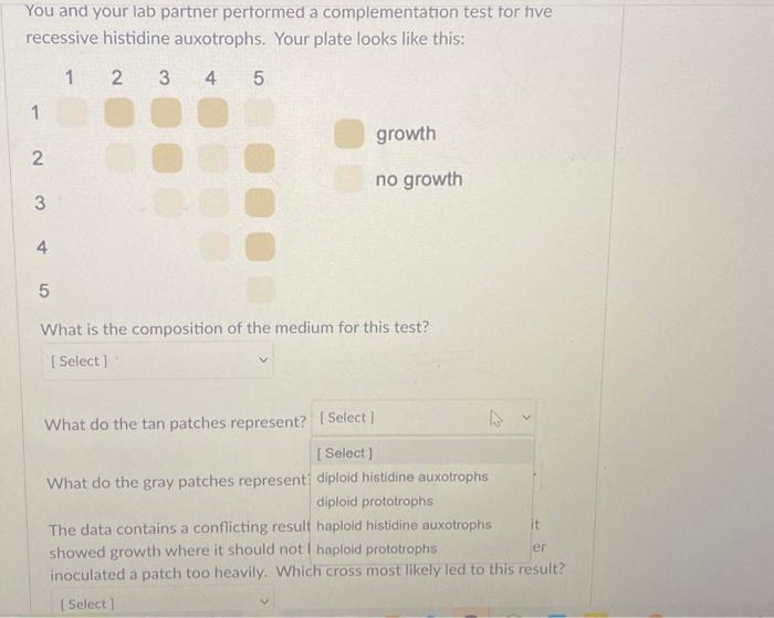 You and your lab partner pertormed a complementation | Chegg.com