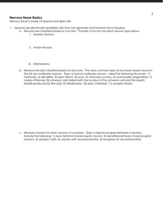 Solved Nervous tissue Basics Nervous fissue is made of | Chegg.com