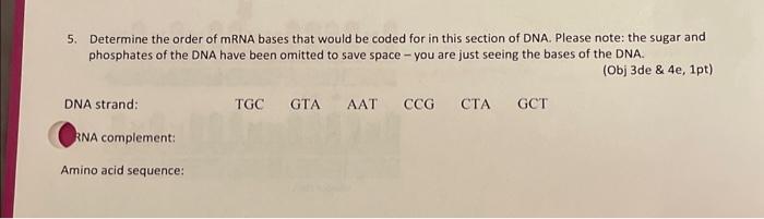 Solved 5. Determine the order of mRNA bases that would be | Chegg.com