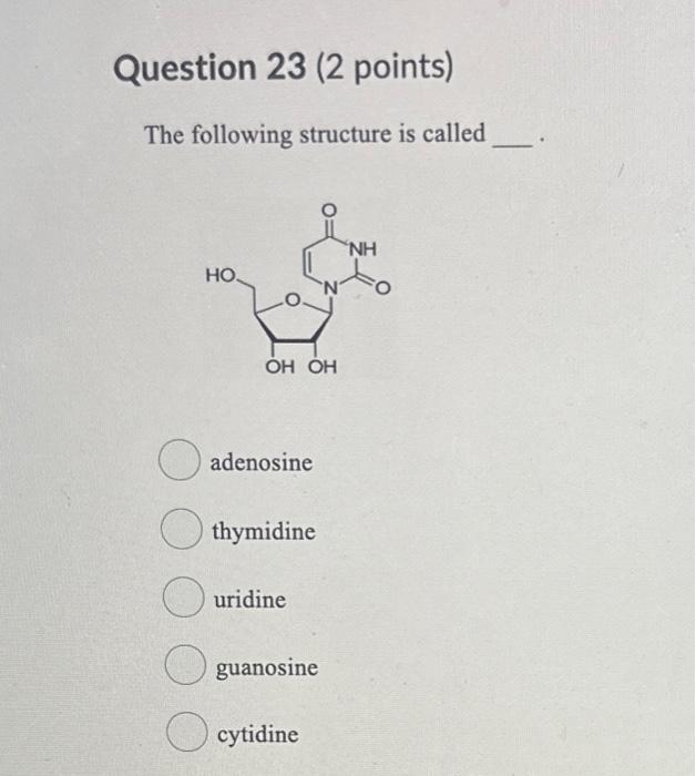 Solved The following structure is called adenosine thymidine | Chegg.com