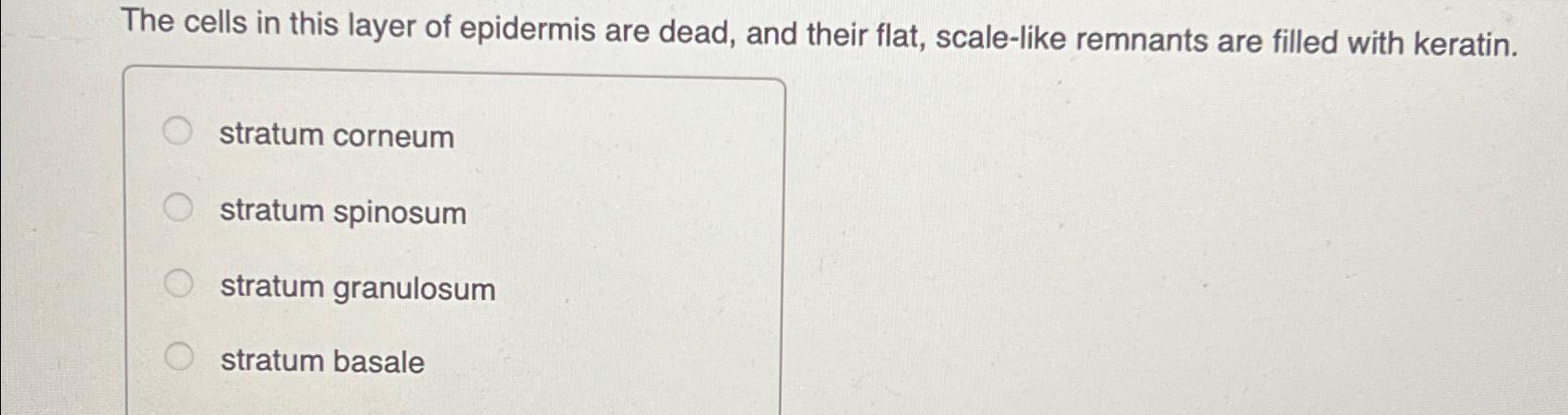 Solved The cells in this layer of epidermis are dead, and | Chegg.com