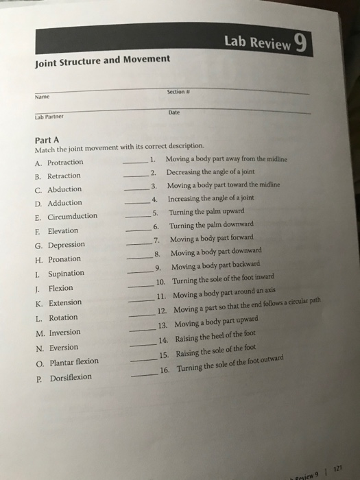 Solved Lab Review 9 Joint Structure and Movement Section 1 | Chegg.com