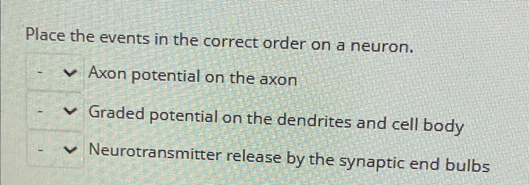 Solved Place the events in the correct order on a neuron. | Chegg.com