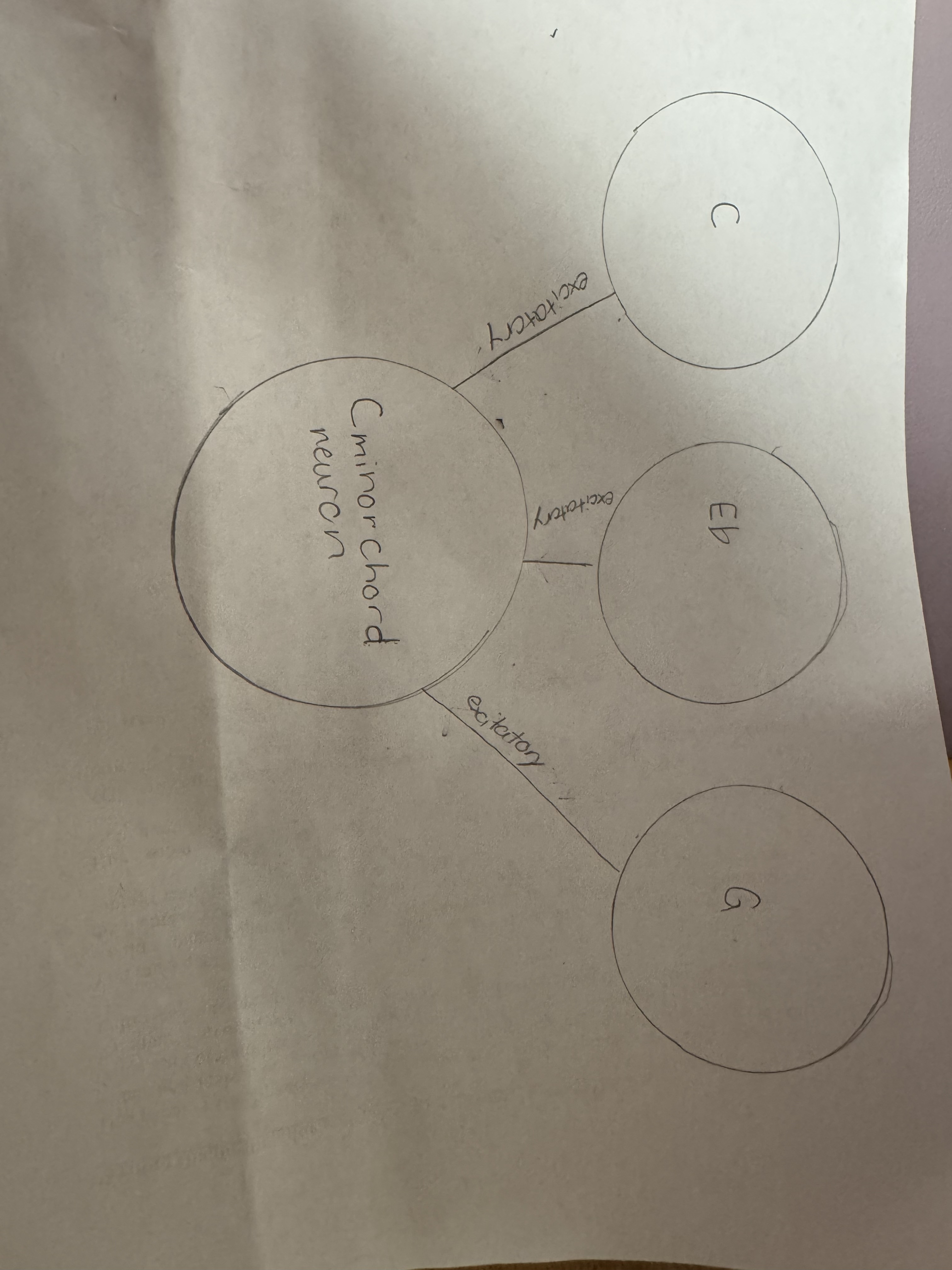 Solved We have examined the hierarchical organization of | Chegg.com
