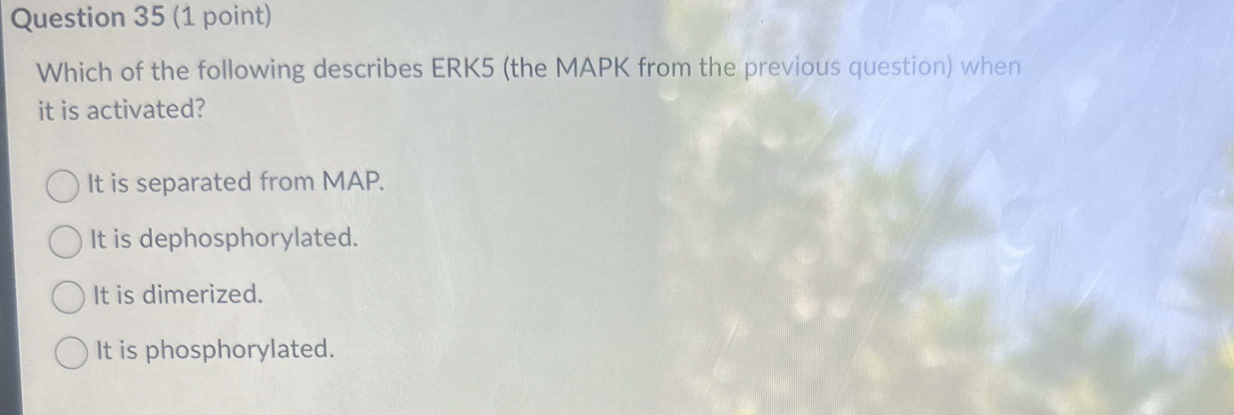 Solved Question 35 (1 ﻿point)Which of the following | Chegg.com