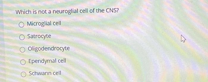 Solved Which is not a neuroglial cell of the CNS? Microglial | Chegg.com