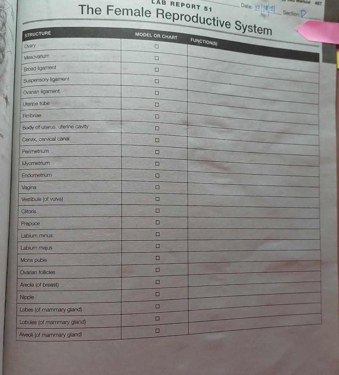 Solved AB REPORT 51 Manual 487 The Female Reproductive | Chegg.com