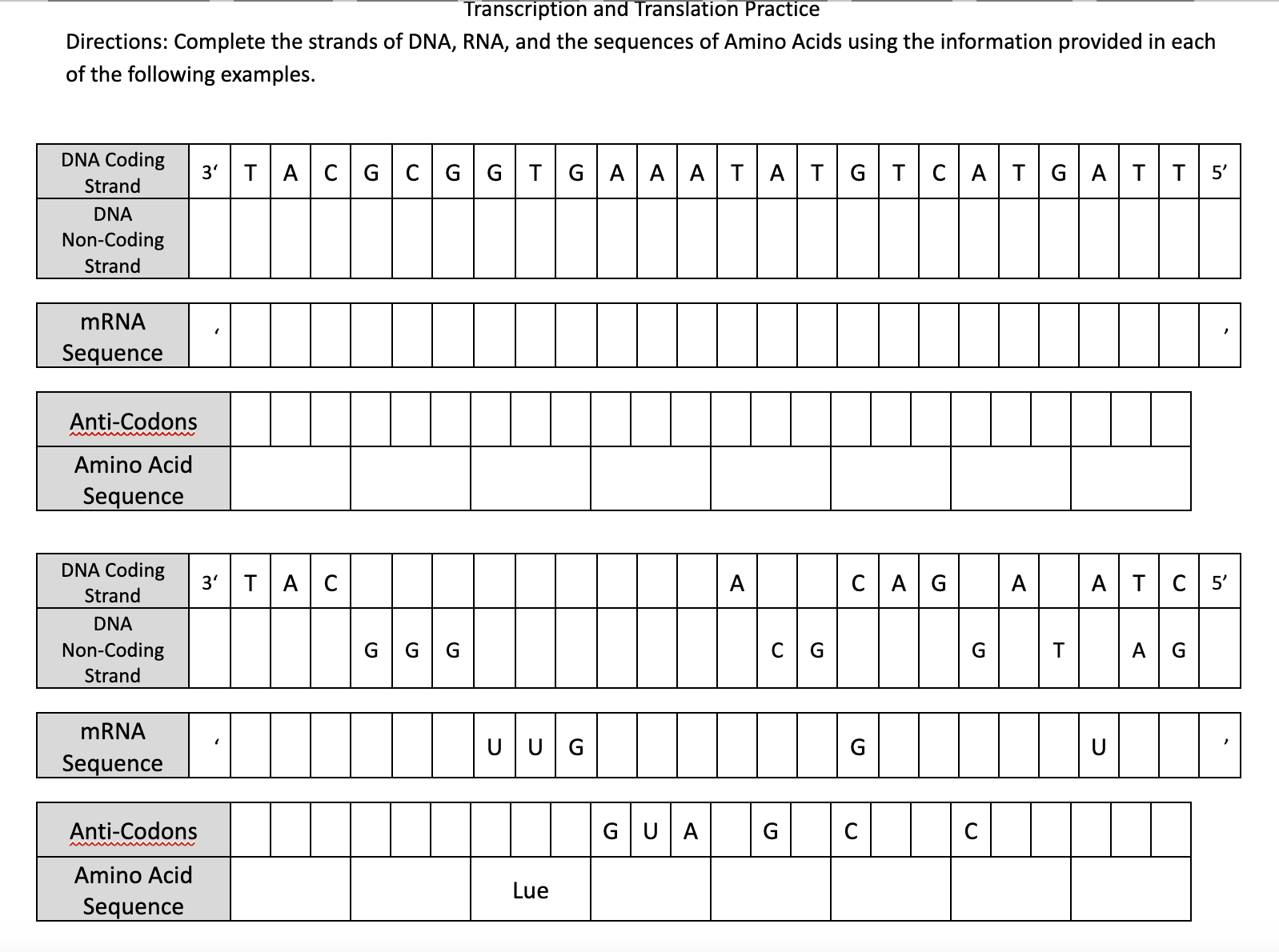 Solved Transcription and Translation Practice Directions: | Chegg.com