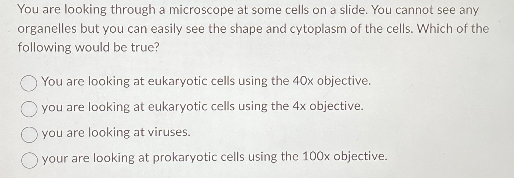 Solved You are looking through a microscope at some cells on | Chegg.com