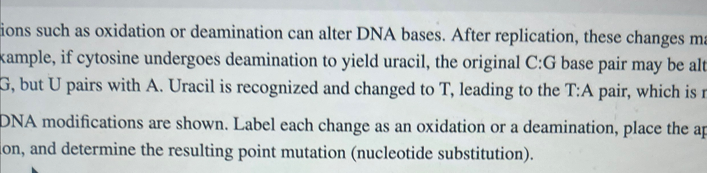Solved ions such as oxidation or deamination can alter DNA | Chegg.com
