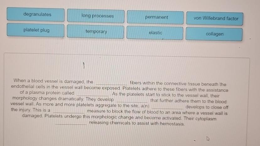 Solved \table[[degranulates,long processes],[platelet | Chegg.com