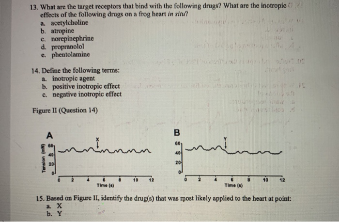Solved 13. What are the target receptors that bind with the | Chegg.com