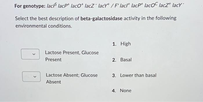 Solved For genotype: lacis lacP+ lacO+ lacZ lacY/F' lacl | Chegg.com