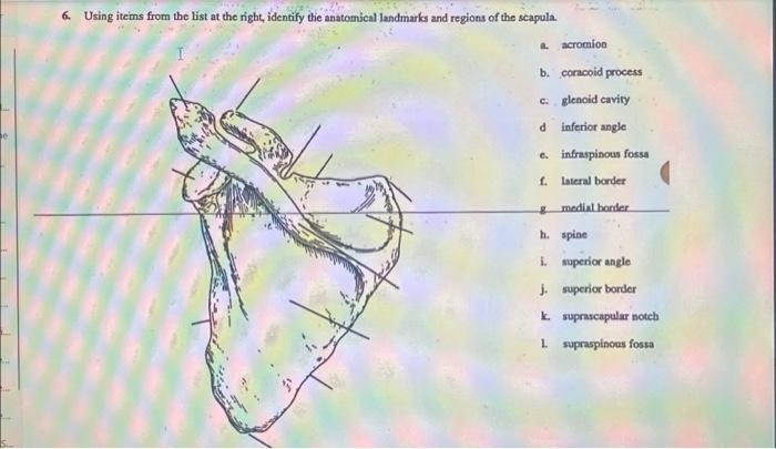 Solved 6. Using items from the list at the right, identify | Chegg.com