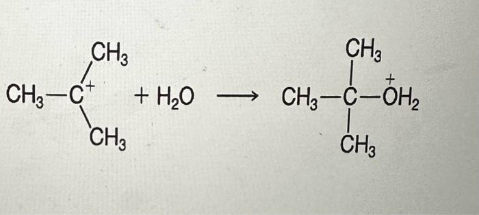 Solved +H2O CH3−OH+BF3 | Chegg.com