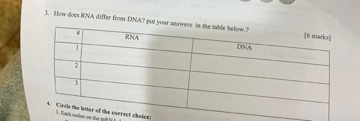 Solved 3. How does RNA differ from DNA? put your answers in | Chegg.com