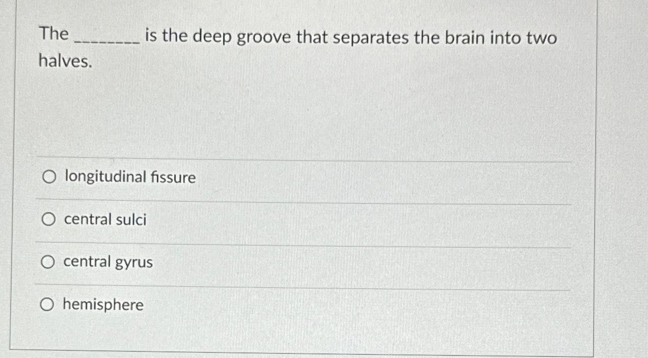 Solved The is the deep groove that separates the brain into | Chegg.com