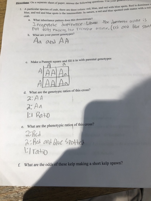 Solved Directions: On a separate sheet of paper, answer the | Chegg.com