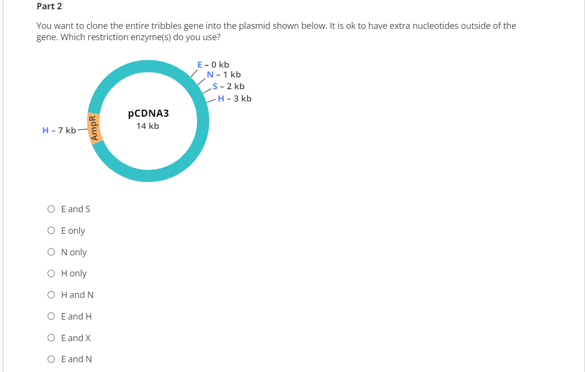 Solved Part 2You want to clone the entire tribbles gene into | Chegg.com