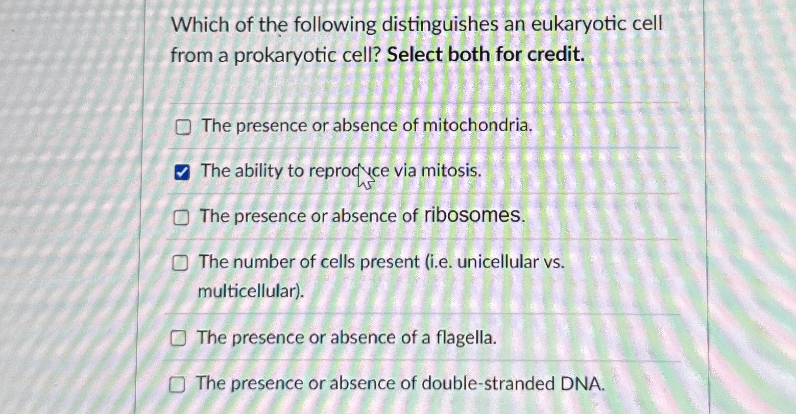 Solved Which of the following distinguishes an eukaryotic | Chegg.com