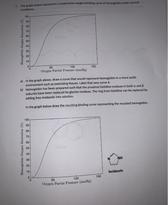 Solved 1. The graph below represents a cooperative oxygen | Chegg.com