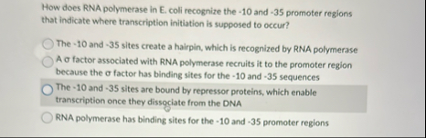 Solved How does RNA polymerase in E. ﻿coll recognize the -10 | Chegg.com