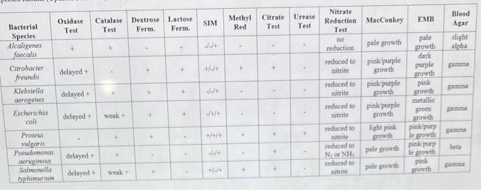 Solved can somebody please make a dichotomous key with the | Chegg.com