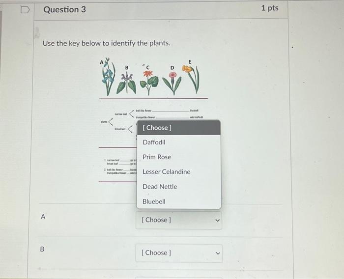 Use the key below to identify the plants. 1. serisen | Chegg.com