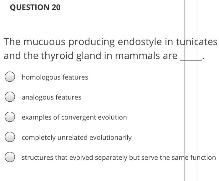 Solved QUESTION 20 The mucuous producing endostyle in | Chegg.com