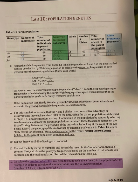 LAB 10: POPULATION GENETICS 4. Calculate the genotype | Chegg.com