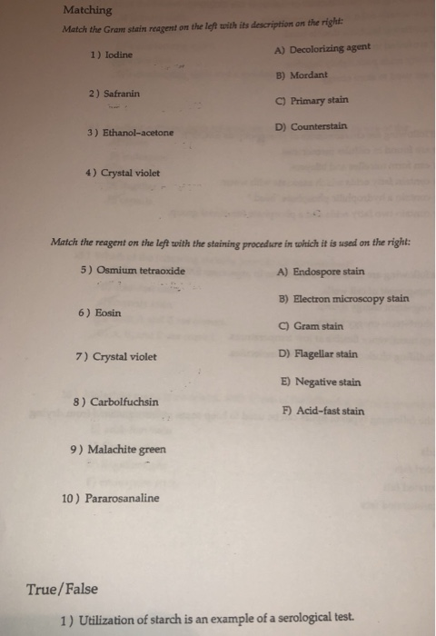 Solved Matching Match the Gram stain reagent on the left | Chegg.com