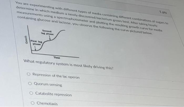 Solved You are experimenting with different types of media | Chegg.com