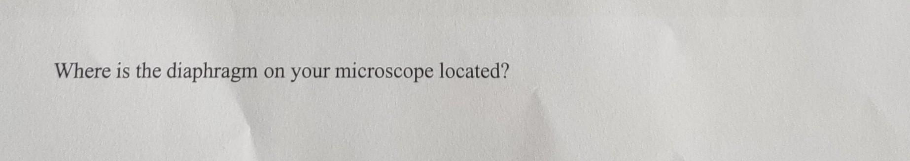 Solved Where is the diaphragm on your microscope | Chegg.com