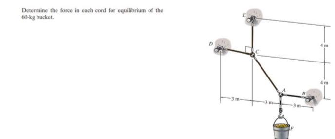 Solved Determine the force in each cord for equilibrium of | Chegg.com