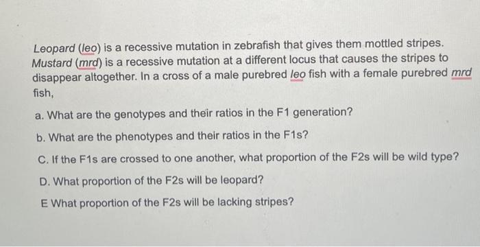 Solved Leopard (leo) is a recessive mutation in zebrafish | Chegg.com