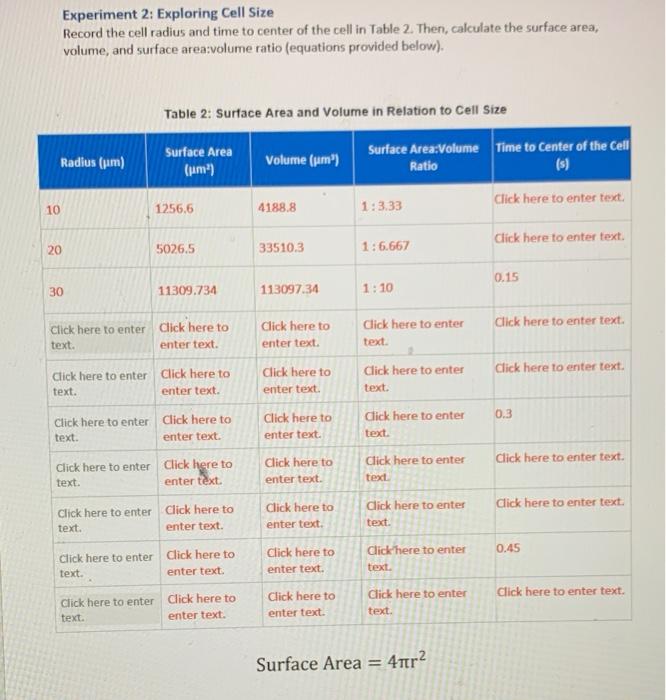 Experiment 1: Observation of Mitosis in a Plant Cell | Chegg.com