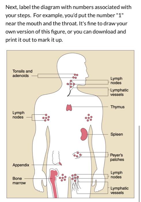 Solved Arrange the terms in the following list in the order | Chegg.com